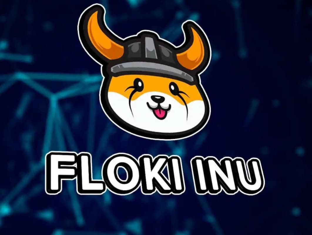 Memecoin Floki Melonjak 50% dalam Seminggu, Ini Alasannya! - Pintu News