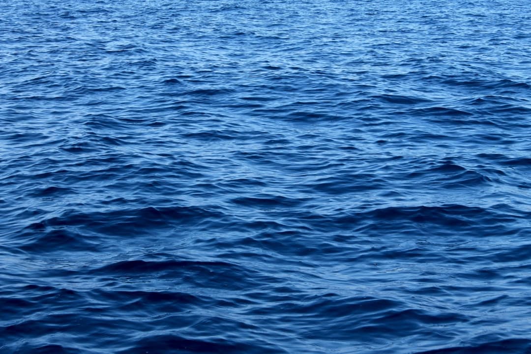 Apa Itu Blue Ocean Strategy dan Contohnya? - Pintu Blog