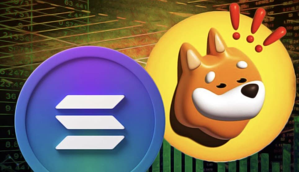 Mengenal BONK, Memecoin Bertema Anjing Pertama di Blockchain Solana! - Pintu News