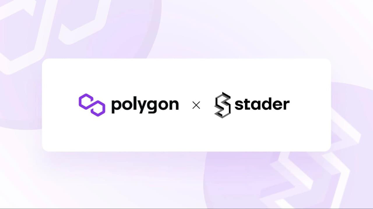 Mengenal Stader MaticX: Token Staking yang Berkolaborasi dengan Beberapa Ekosistem! - Pintu News