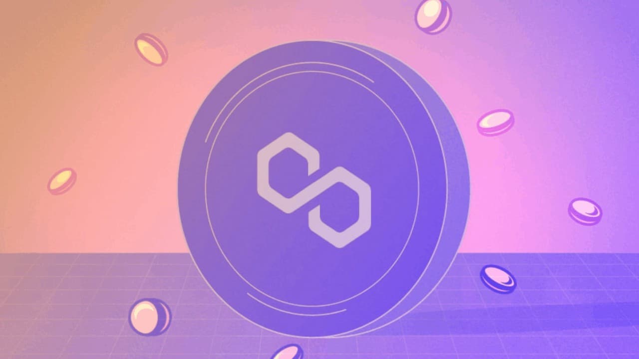 $CULO: Meme Token dengan Tujuan Mulia di Jaringan Polygon - Pintu News