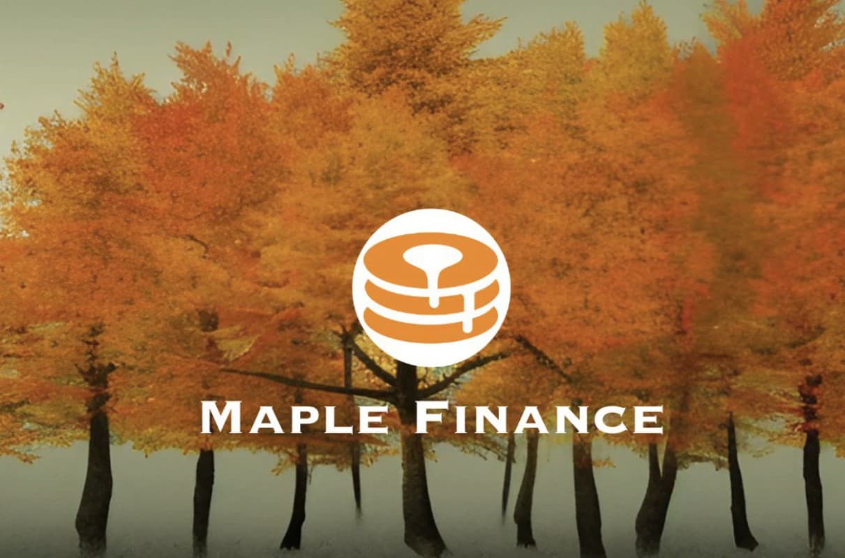 Maple Finance Meluncur di Jaringan Base, Revolusi Baru untuk Investor ...