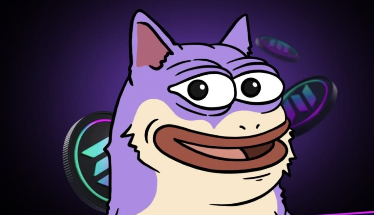 Apa itu DUKO Coin? Simak Fitur Unik dan Pergerakan Harganya dalam 1 Bulan! - Pintu News